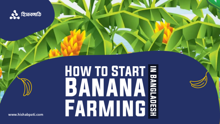How to Start Banana Farming in Bangladesh in 2023 - HishabPati
